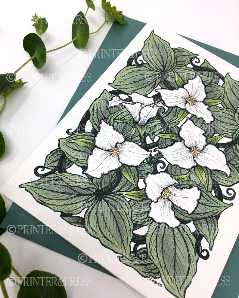 Trillium Card With Green Envelope - Digitally Colored and Printed ...
