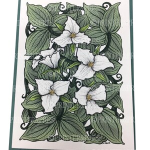 Trillium Card With Green Envelope - Digitally Colored and Printed ...