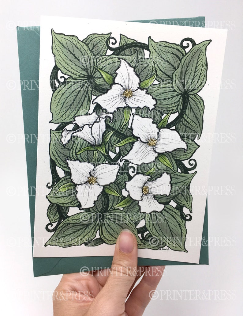 Trillium Card With Green Envelope - Digitally Colored and Printed ...