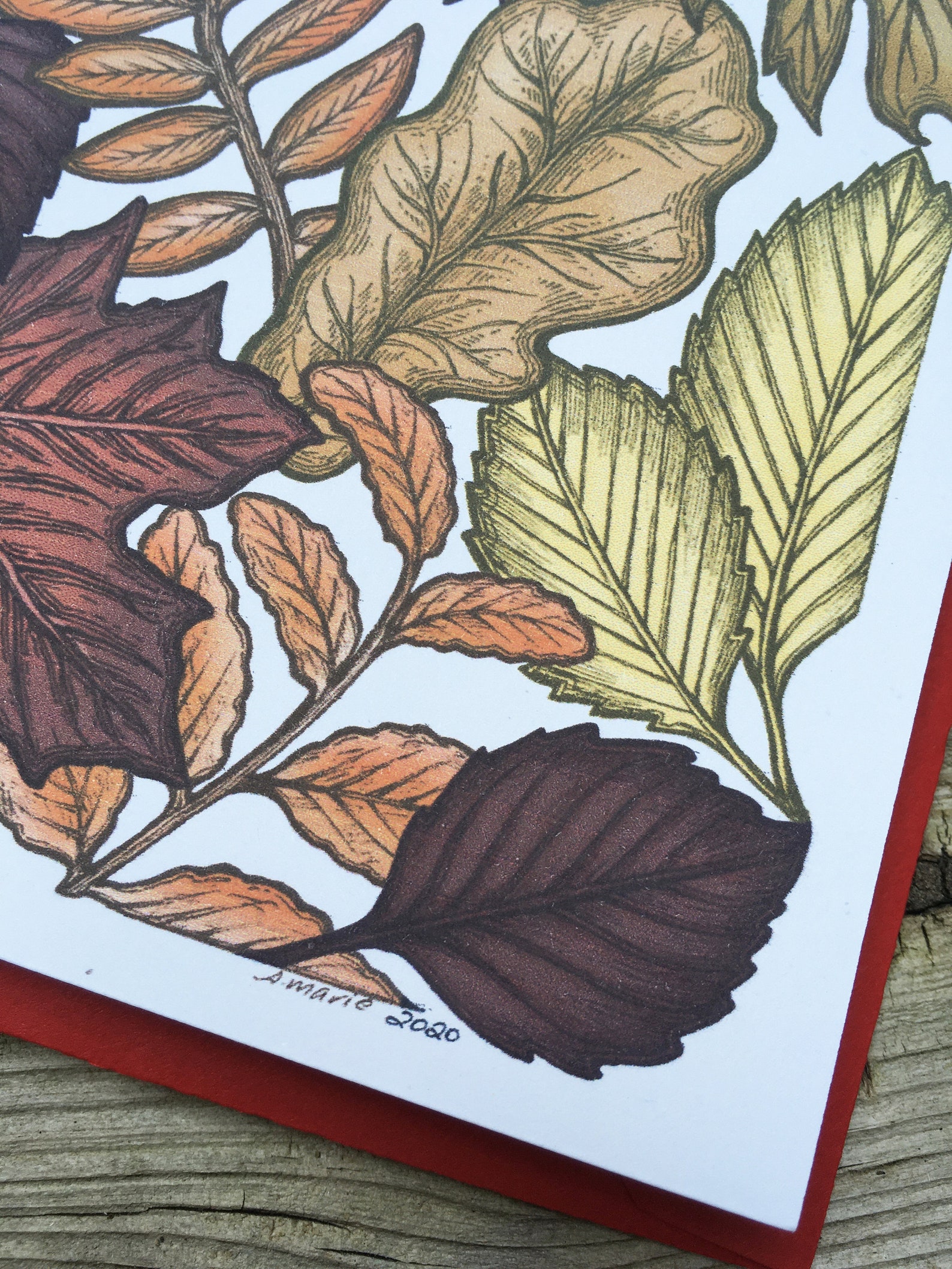 Fall Leaves Greeting Card With Red Envelope : Colorful Leaves - Etsy
