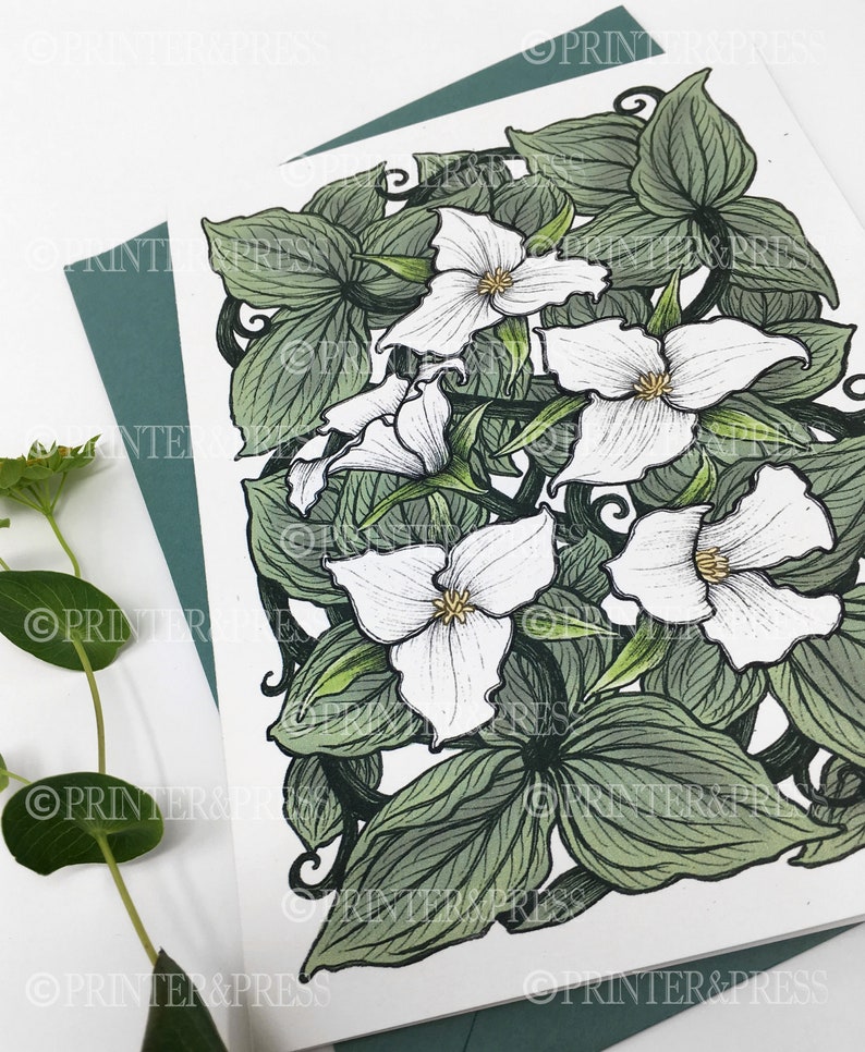 Trillium Card With Green Envelope - Digitally Colored and Printed ...