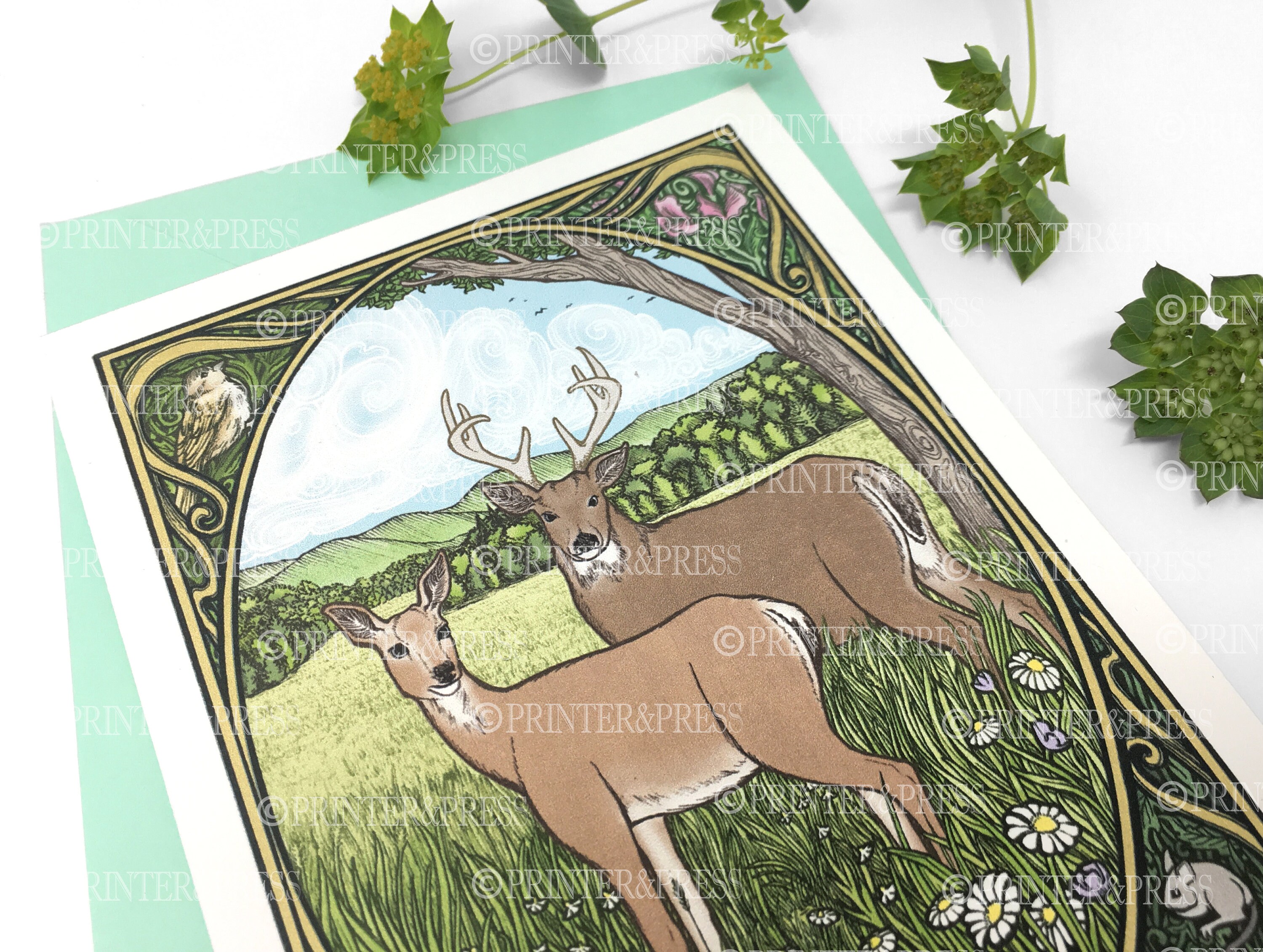 Deer Meadow Card with Green Envelope Digitally Colored and | Etsy