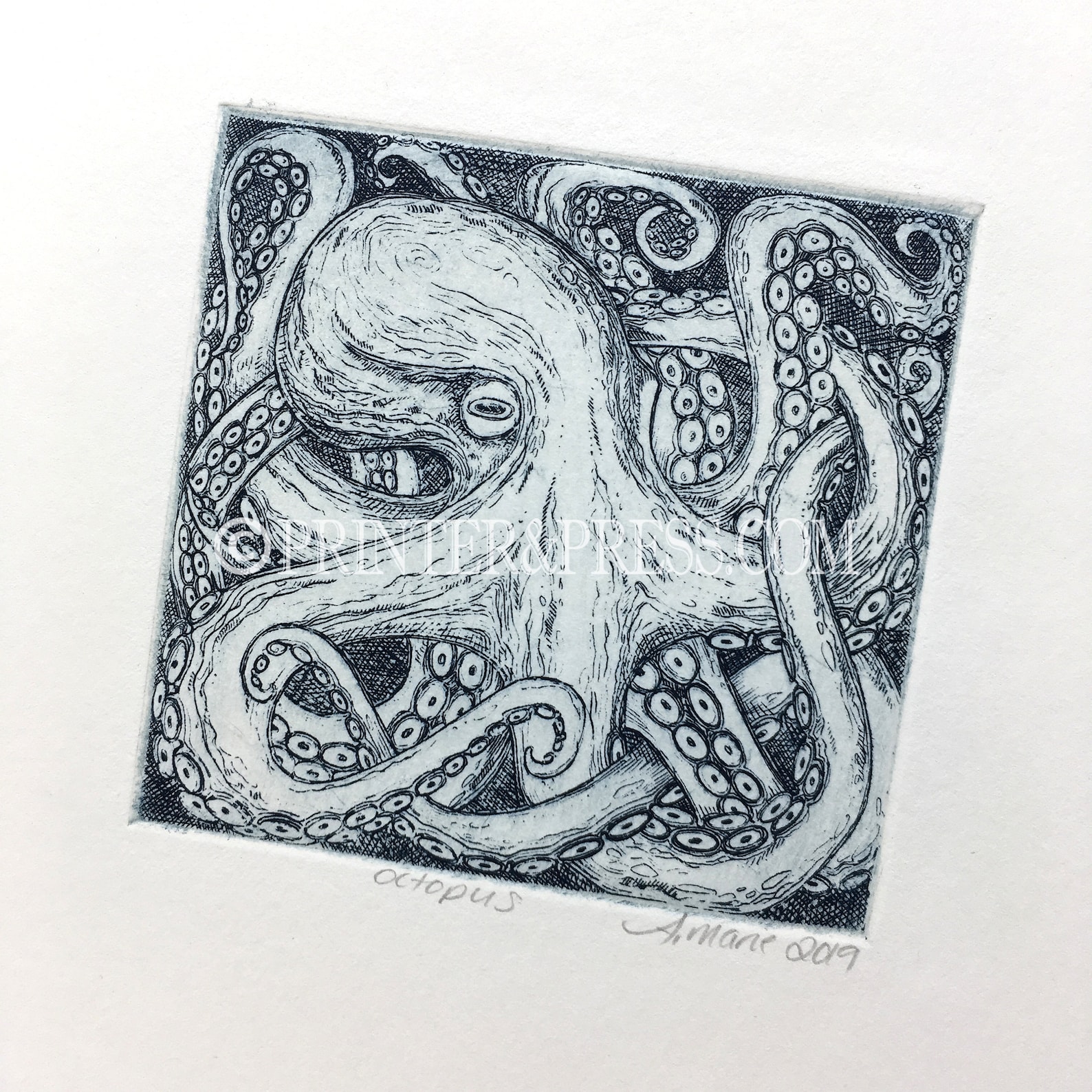 Octopus Etching Print : Tiny Hand-Pulled Intaglio Etching | Etsy