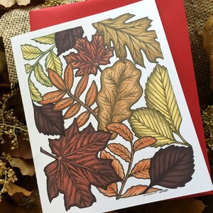 Fall Leaves Greeting Card With Red Envelope : Colorful Leaves ...