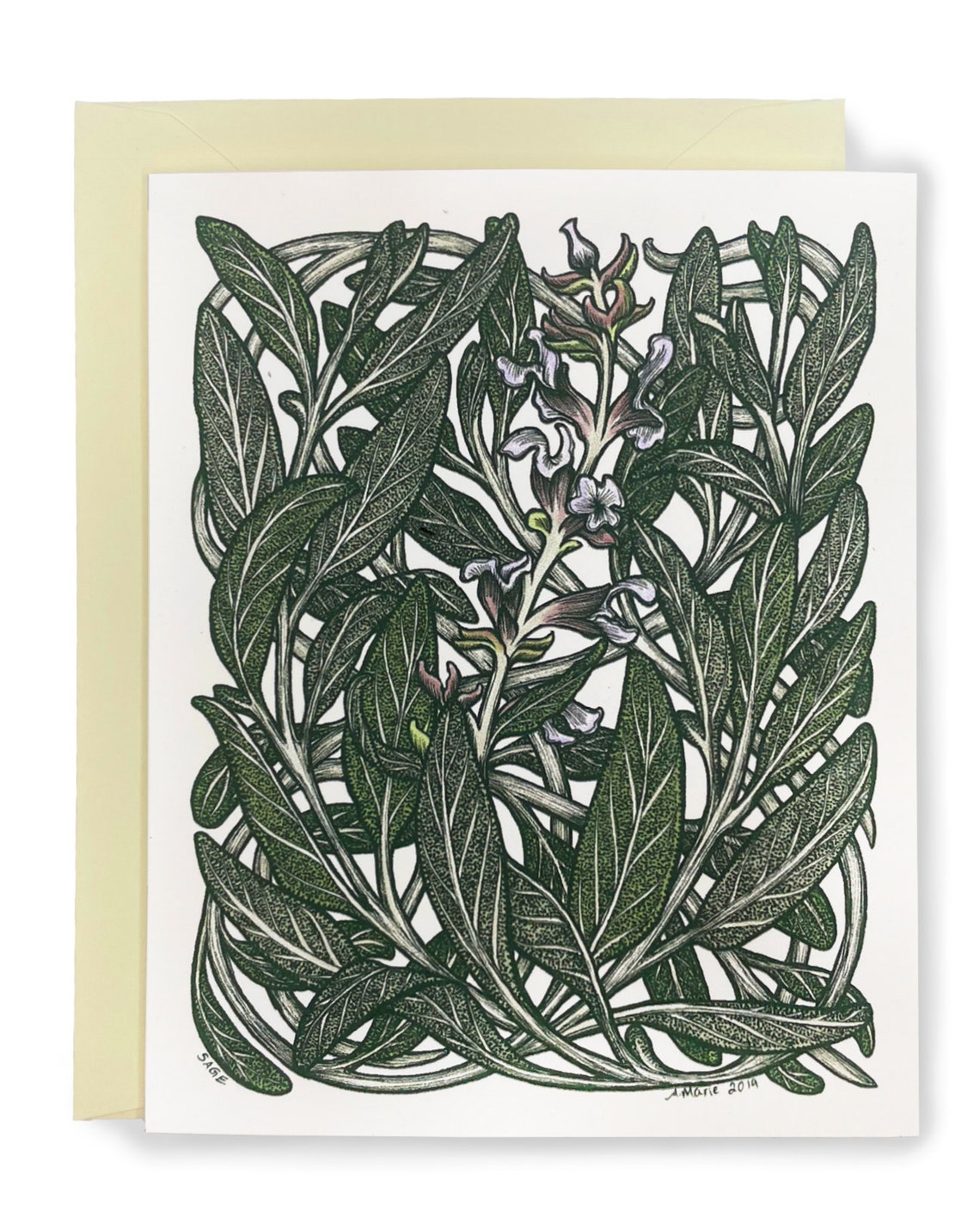 Sage Greeting Card With Ivory Envelope : Herb Card - Botanical ...
