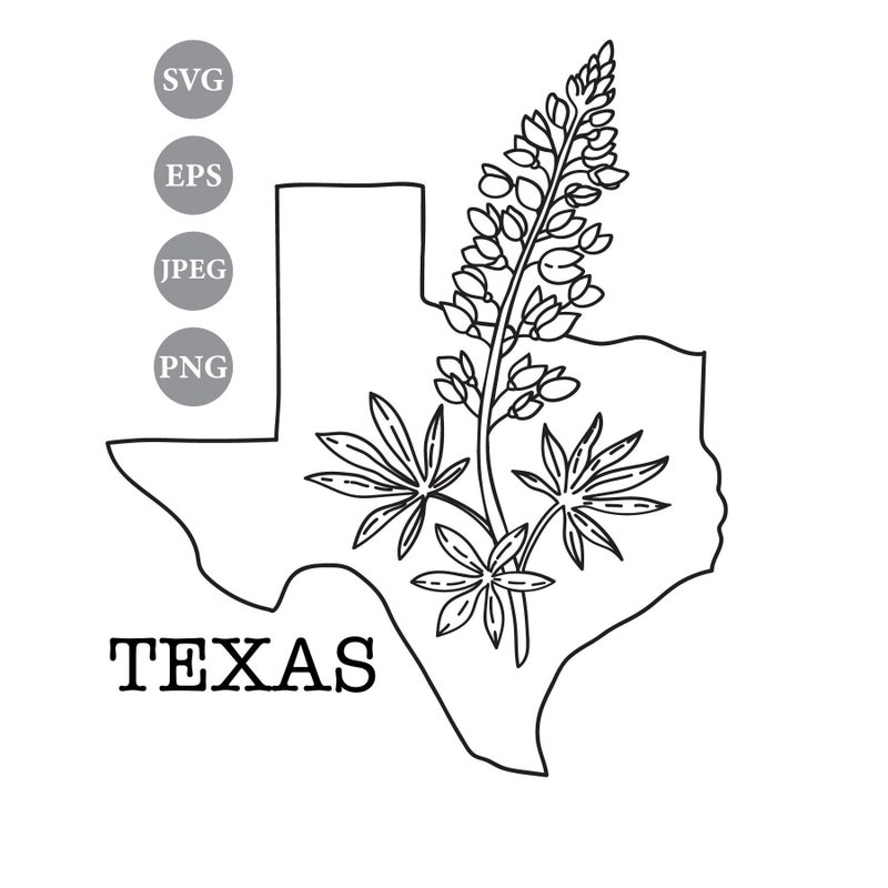 Texas Bluebonnets Svg - Etsy