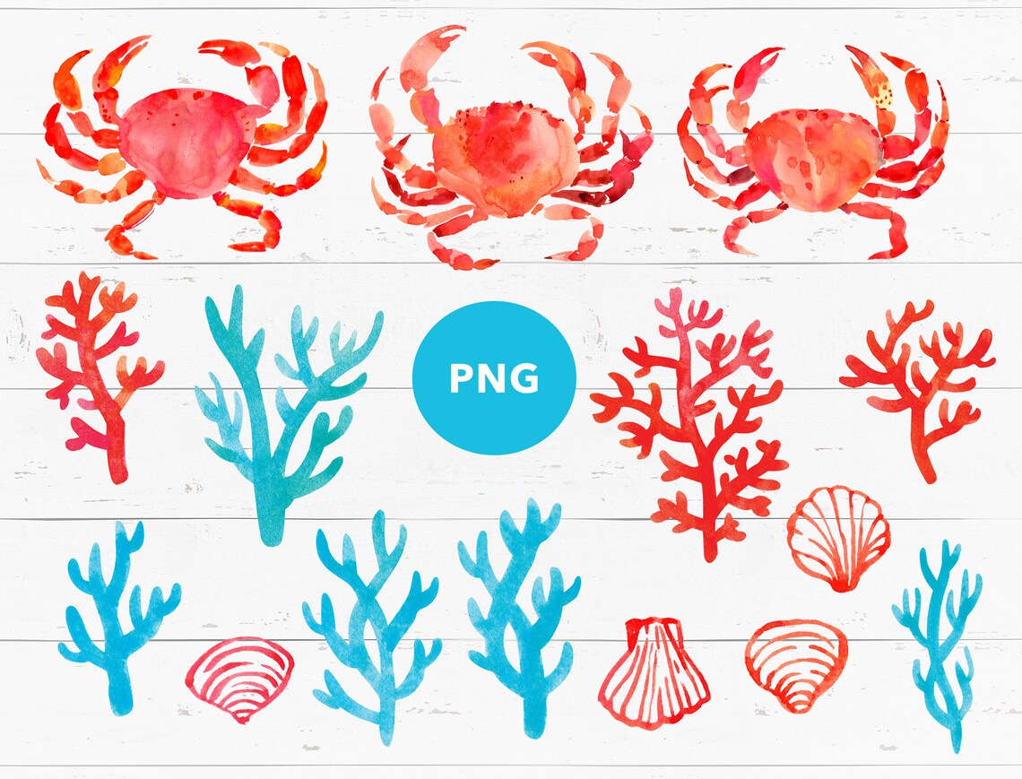 Ocean clip art PNG. Beach clipart and digital paper. Summer | Etsy