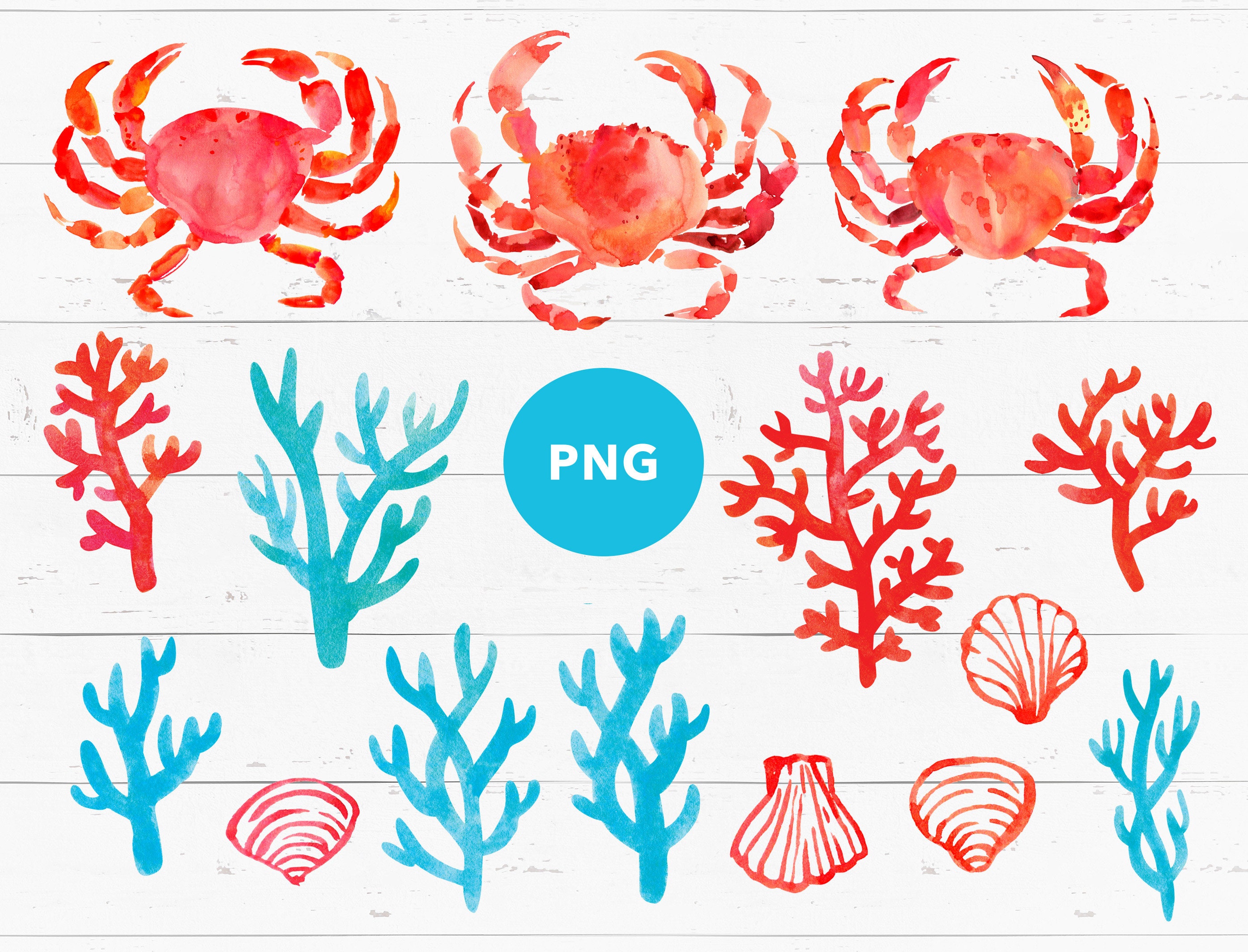 Ocean Clip Art PNG. Beach Clipart and Digital Paper. Summer Seamless ...