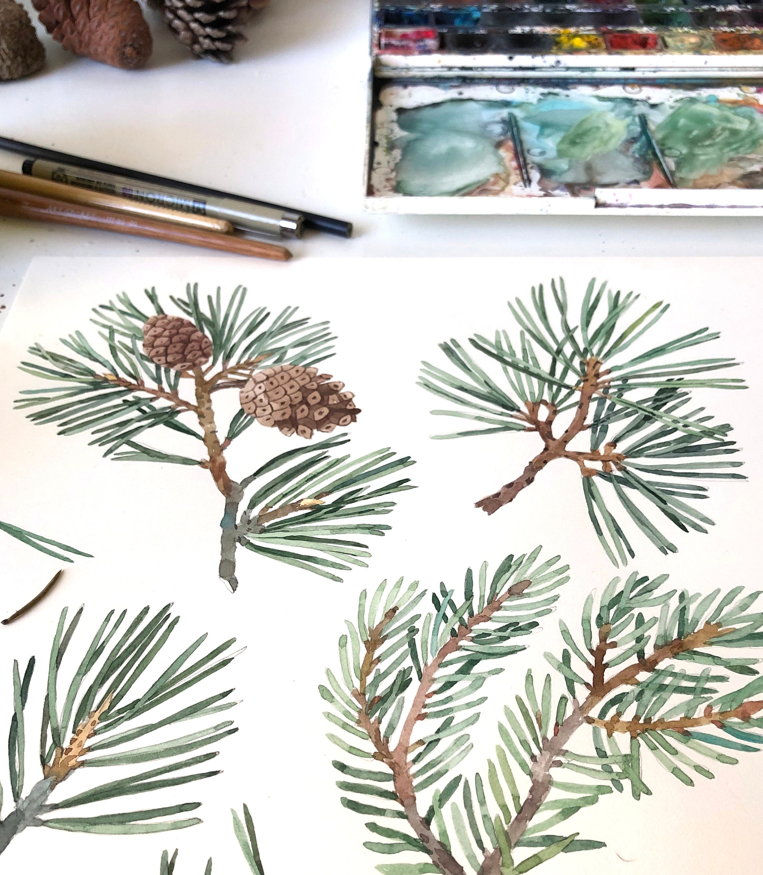 Digital Background Set, Watercolor Green Pine, Conifer Digital Paper ...