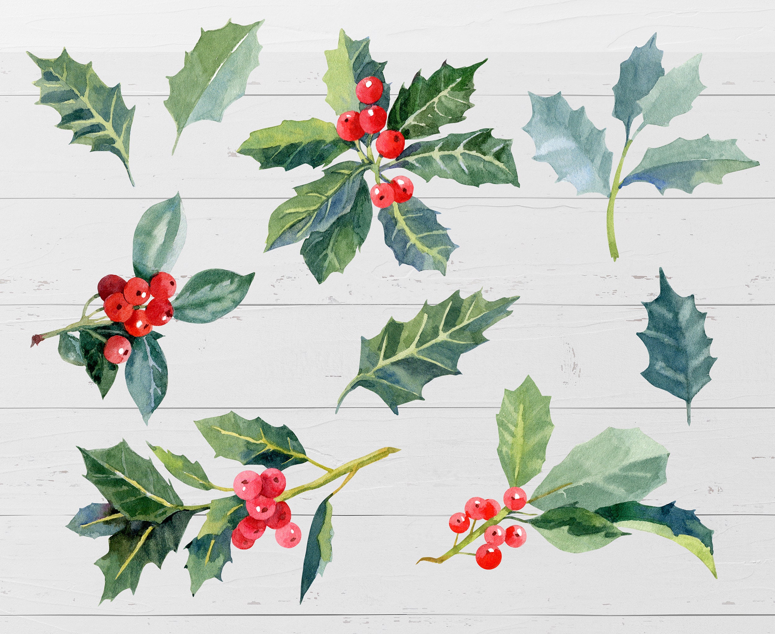 Winter Watercolor Christmas Digital Clipart Set Leaf Leaves Holiday ...