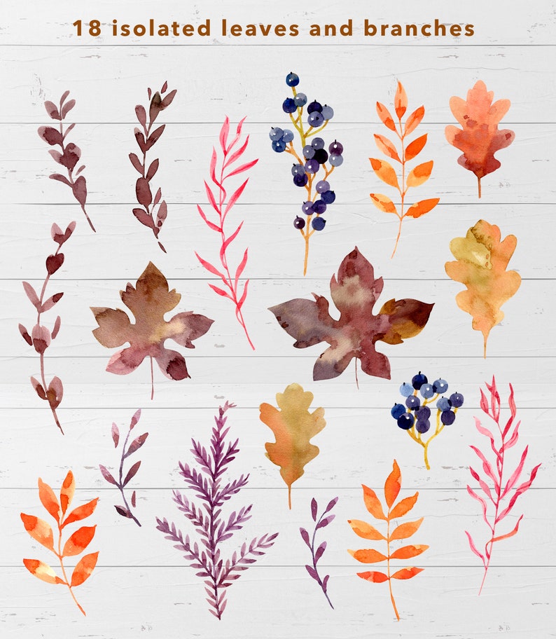 Fall Digital Clipart, Autumn Leaves Illustration, Fall Watercolor ...