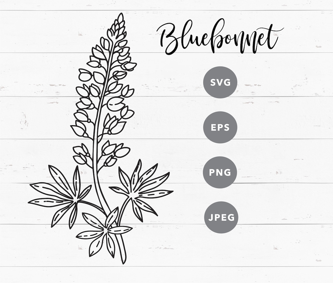 SVG Bluebonnet Clipart for Cricut Lupine Vector Black and White ...