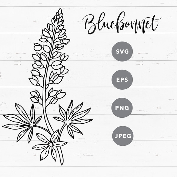 Bluebonnet - Etsy