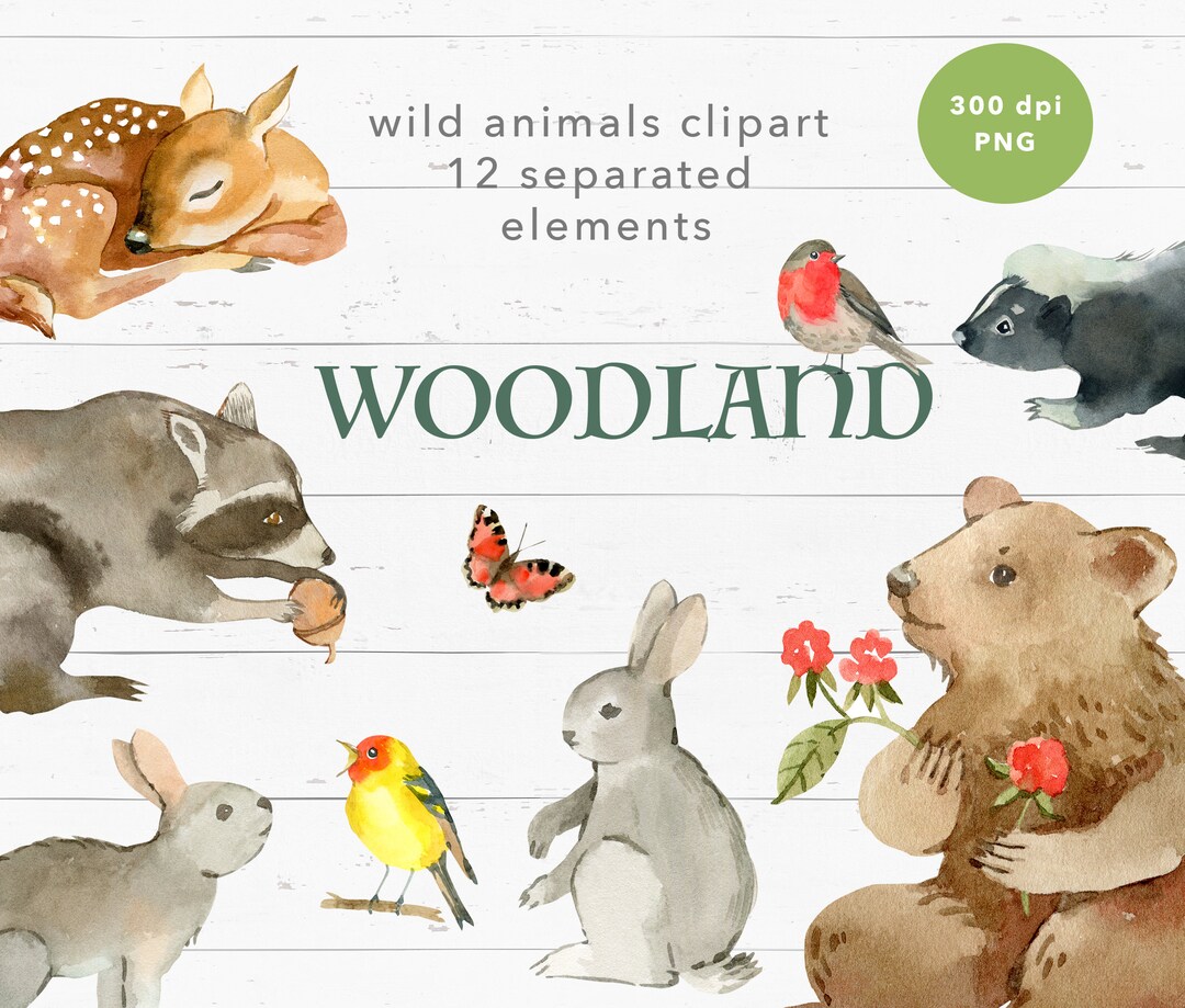 Woodland Animals Clipart PNG Deer, Fox, Bunnies, Bear, Raccoon ...