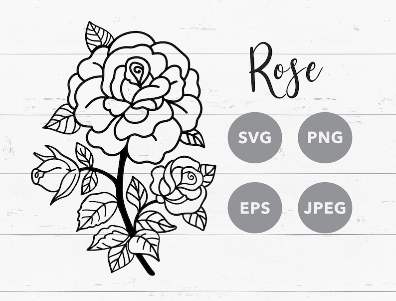 Rosa SVG, PNG, JPEG, Eps, clipart vectorial. Ilustración de líneas de ...