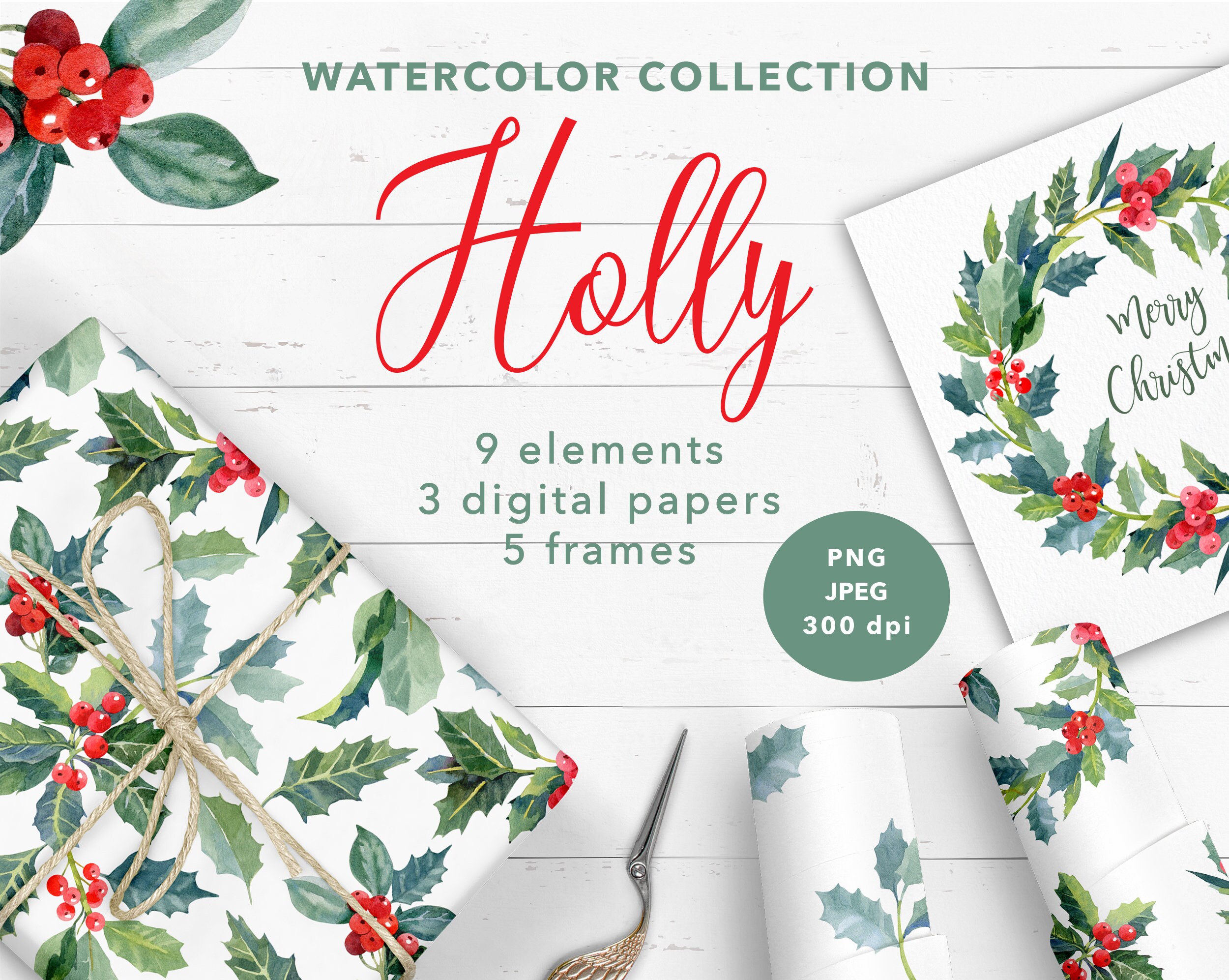 Holly Watercolor Collection. Holly Frames. Christmas Ilex Borders ...