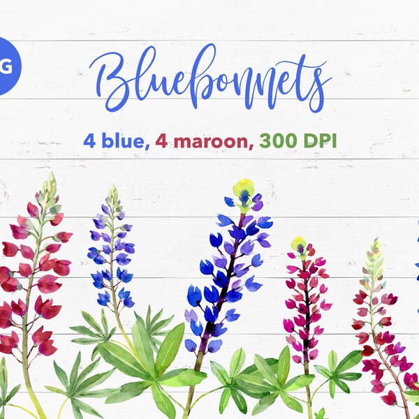 Bluebonnet Wedding - Etsy