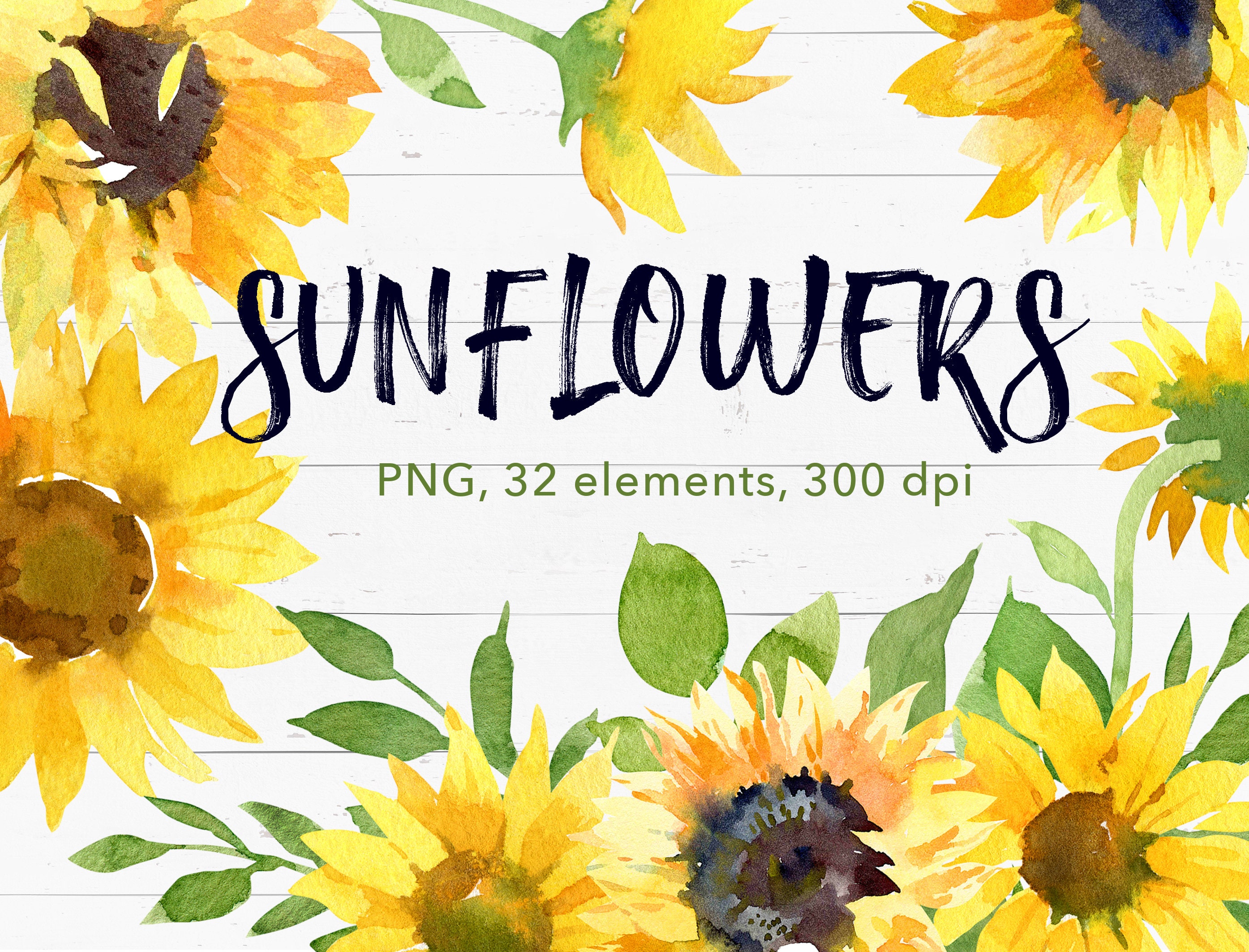 Sunflowers PNG Clipart. Watercolor Summer Yellow Flowers - Etsy