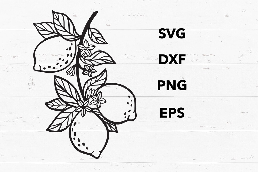 Lemon SVG Illustration. Dfx, EPS, PNG Image for Cricut, Scrapbooking ...