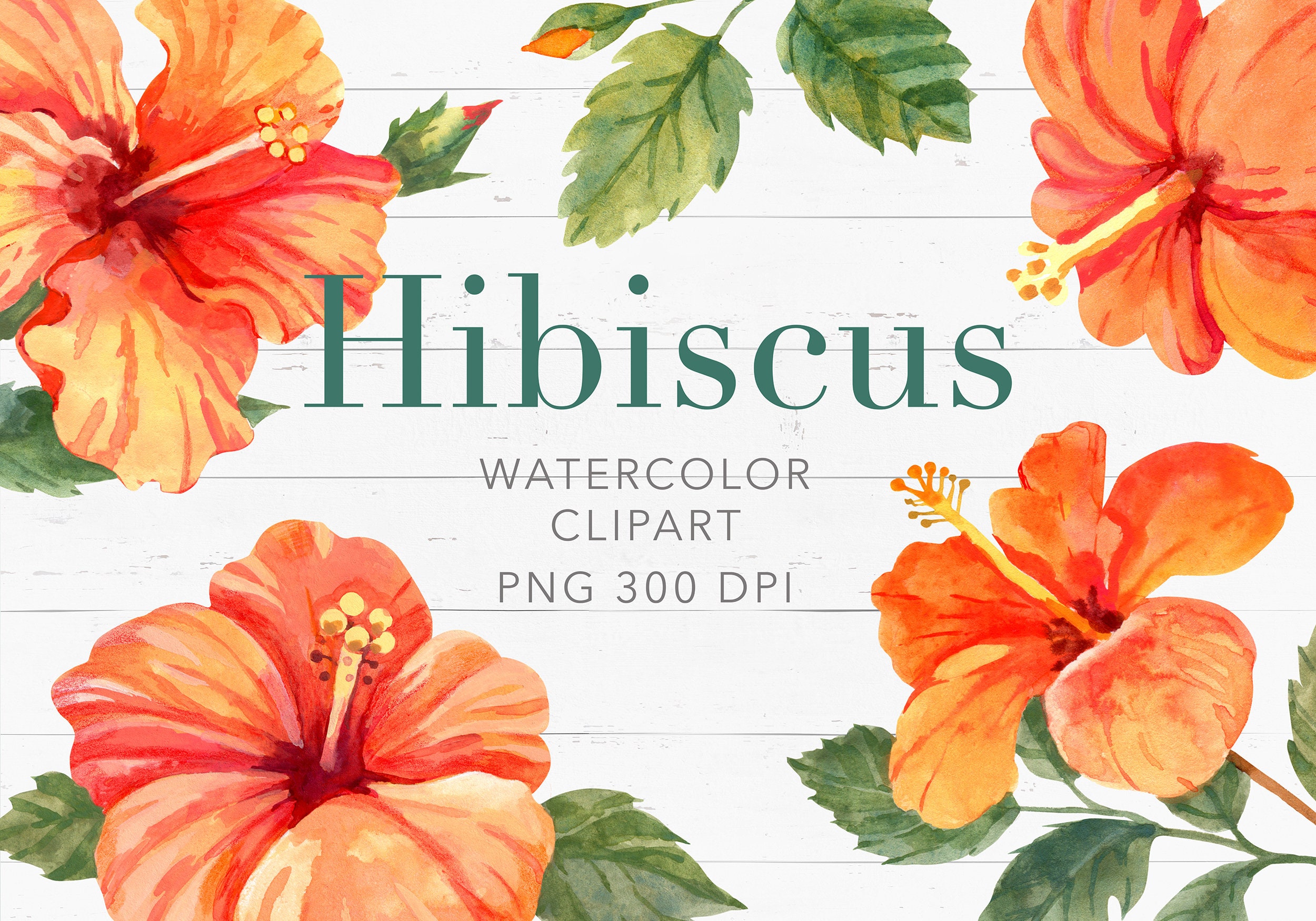 Hibiscus Leaf Clipart Printable