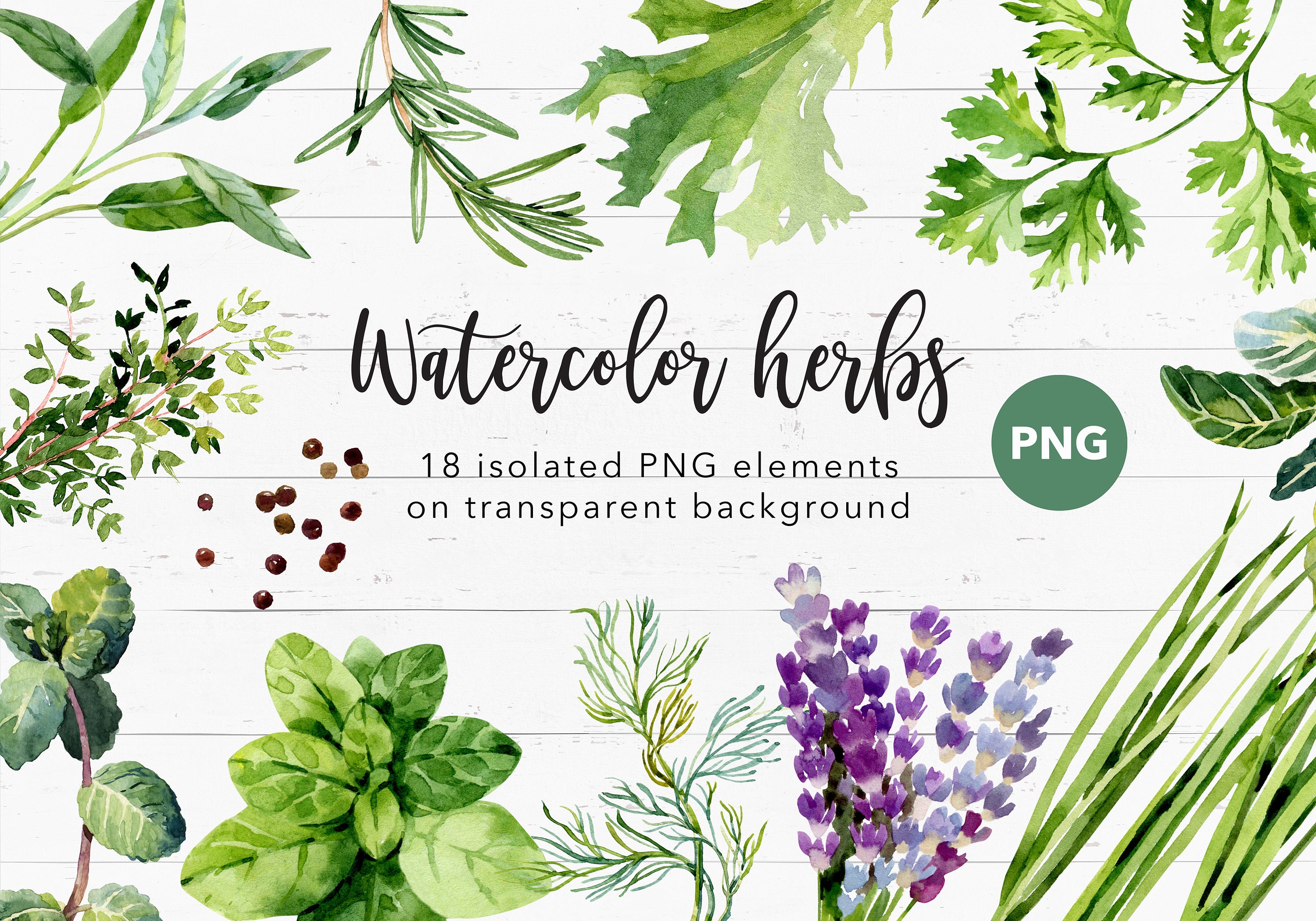 Watercolor Green Herbs Clipart PNG. Cilantro, Sage, Chives, Oregano ...