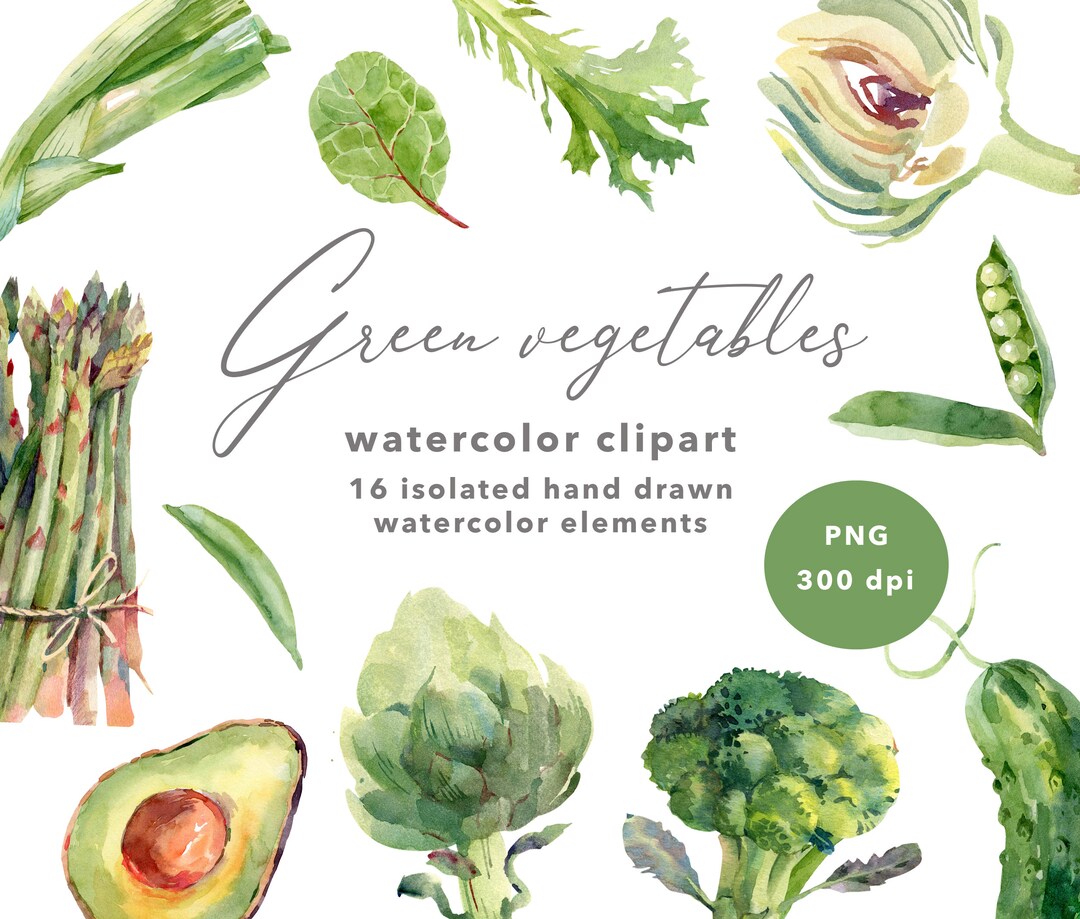 Hand Drawn Watercolor Vegetables Clipart. Healthy Vegetarian Food ...