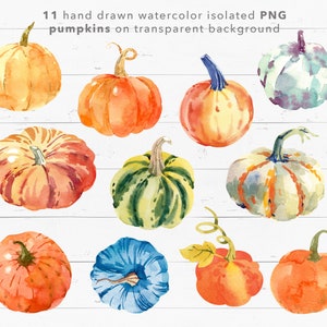 PNG Pumpkins, Hand Drawn Watercolor Clipart, Digital Stickers ...