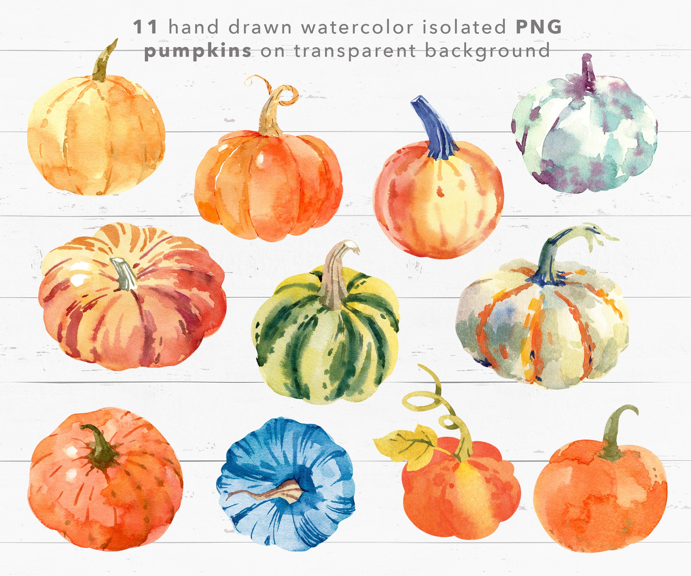 PNG Pumpkins Hand Drawn Watercolor Clipart Digital Stickers - Etsy