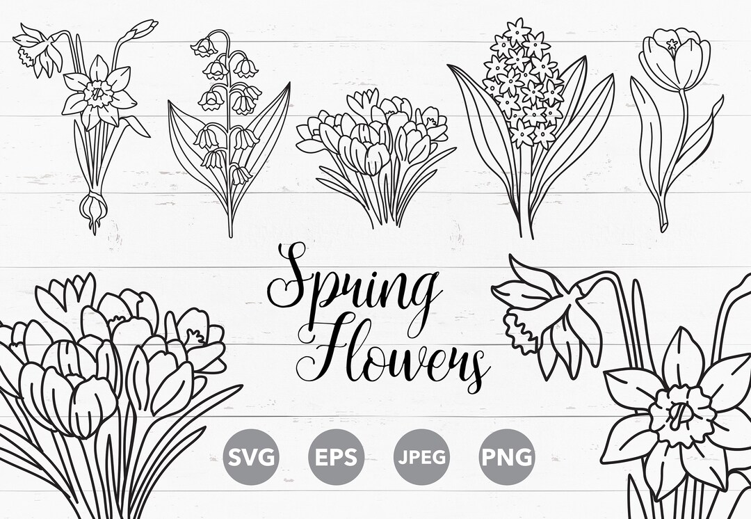 Spring Flowers SVG PNG JPEG Eps. Botanical Line Illustration Daffodils ...