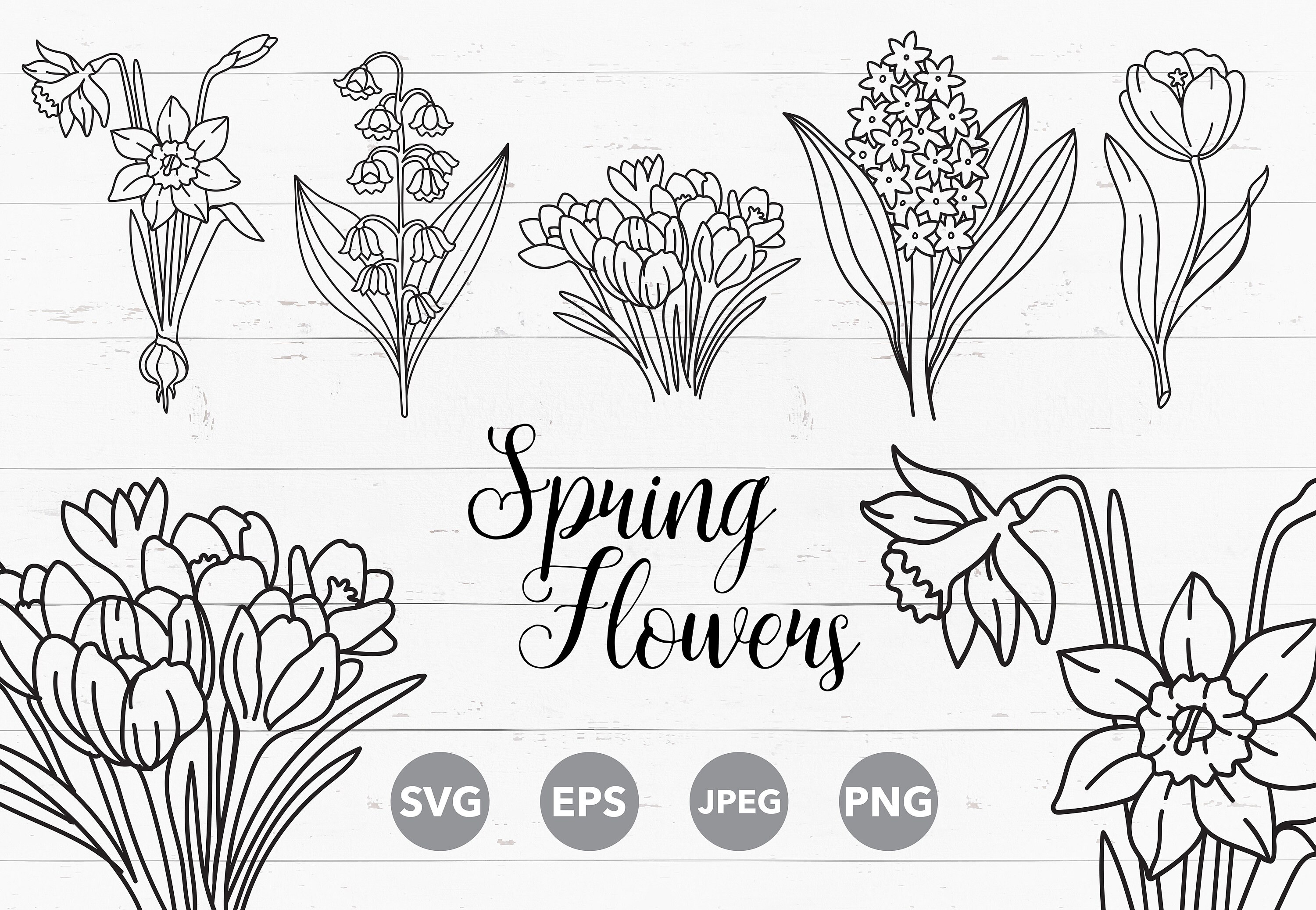 Spring Flowers SVG PNG JPEG Eps. Botanical Line Illustration Daffodils ...