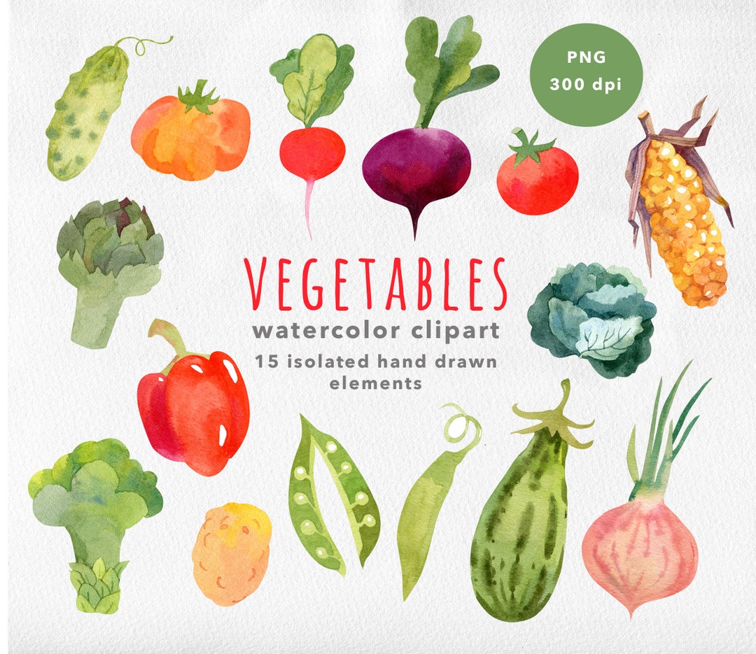 Hand Drawn Watercolor Vegetables - Vegan Food Illustration - Clipart ...