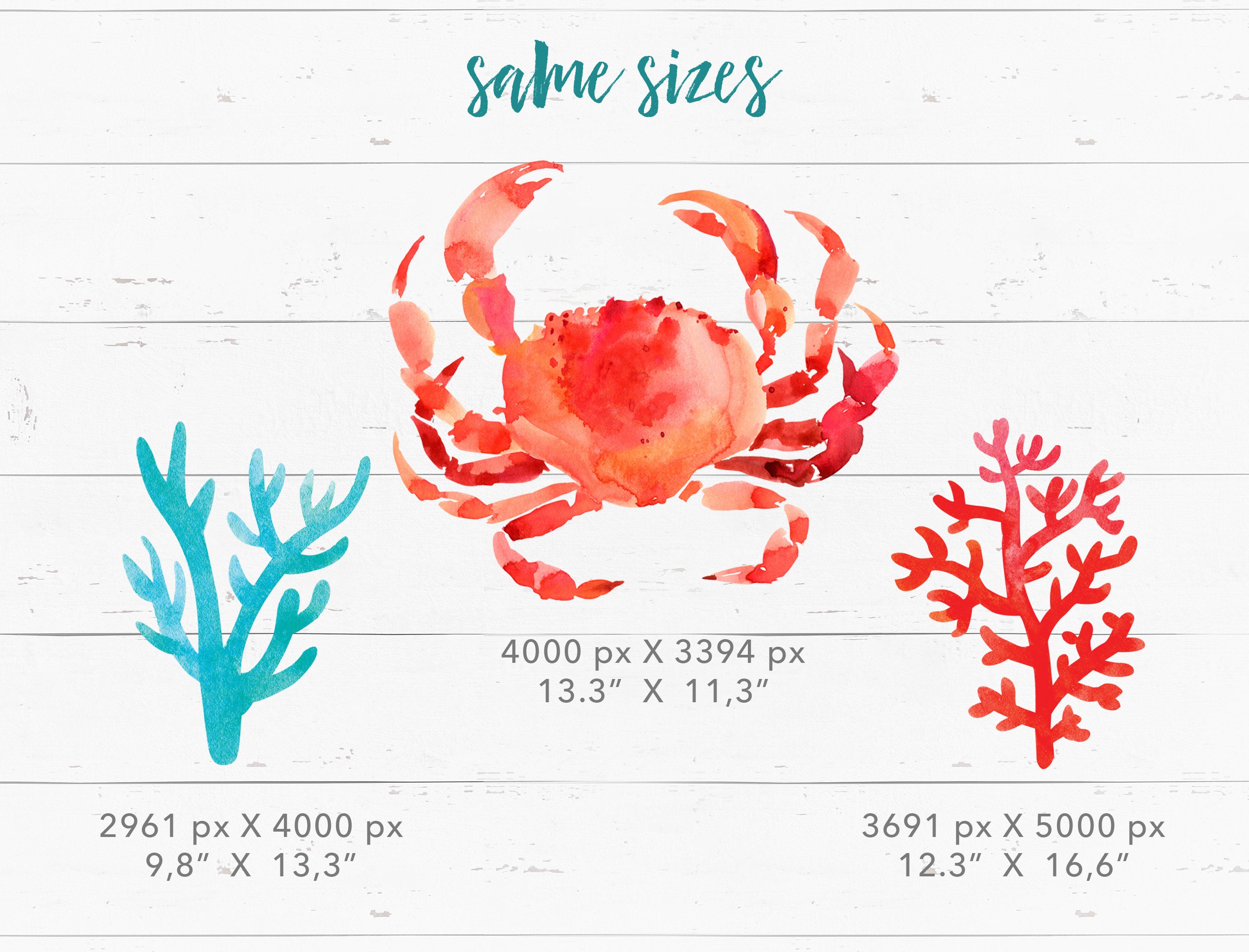 Ocean Clip Art PNG. Beach Clipart and Digital Paper. Summer Seamless ...