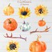 AUTUMN COLLECTION. Digital Pumpkins Clipart. Fall Leaves and Branches ...