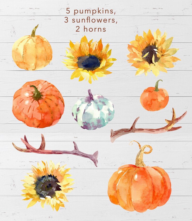 AUTUMN COLLECTION. Digital Pumpkins Clipart. Fall Leaves and Branches ...