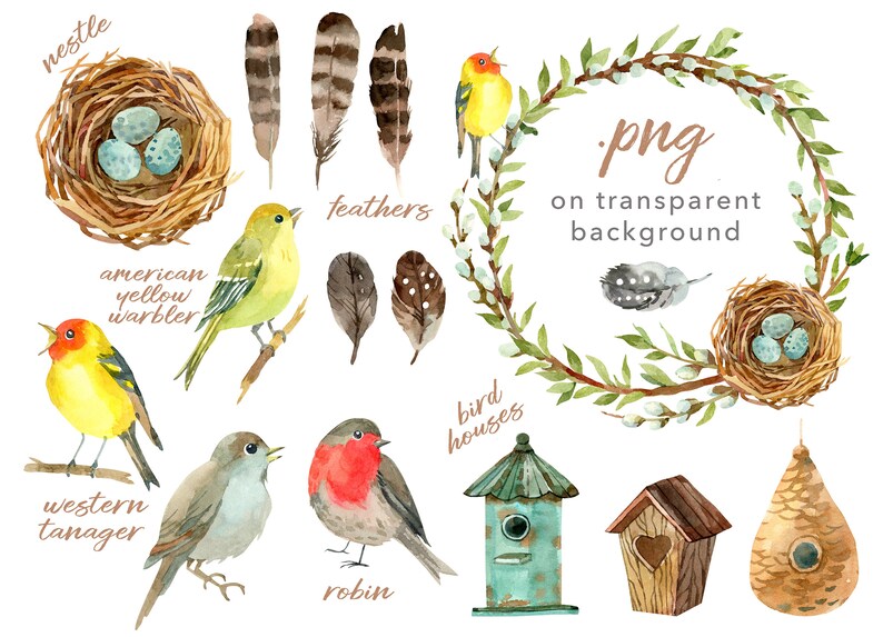 Spring Easter Birds Clipart Collection: Robin, Western Tanager, Floral ...