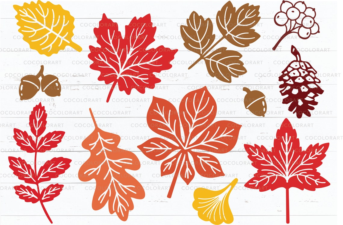 Fall Leaves Svg Fall Svg Autumn Svg Bundle Clipart DXF - Etsy