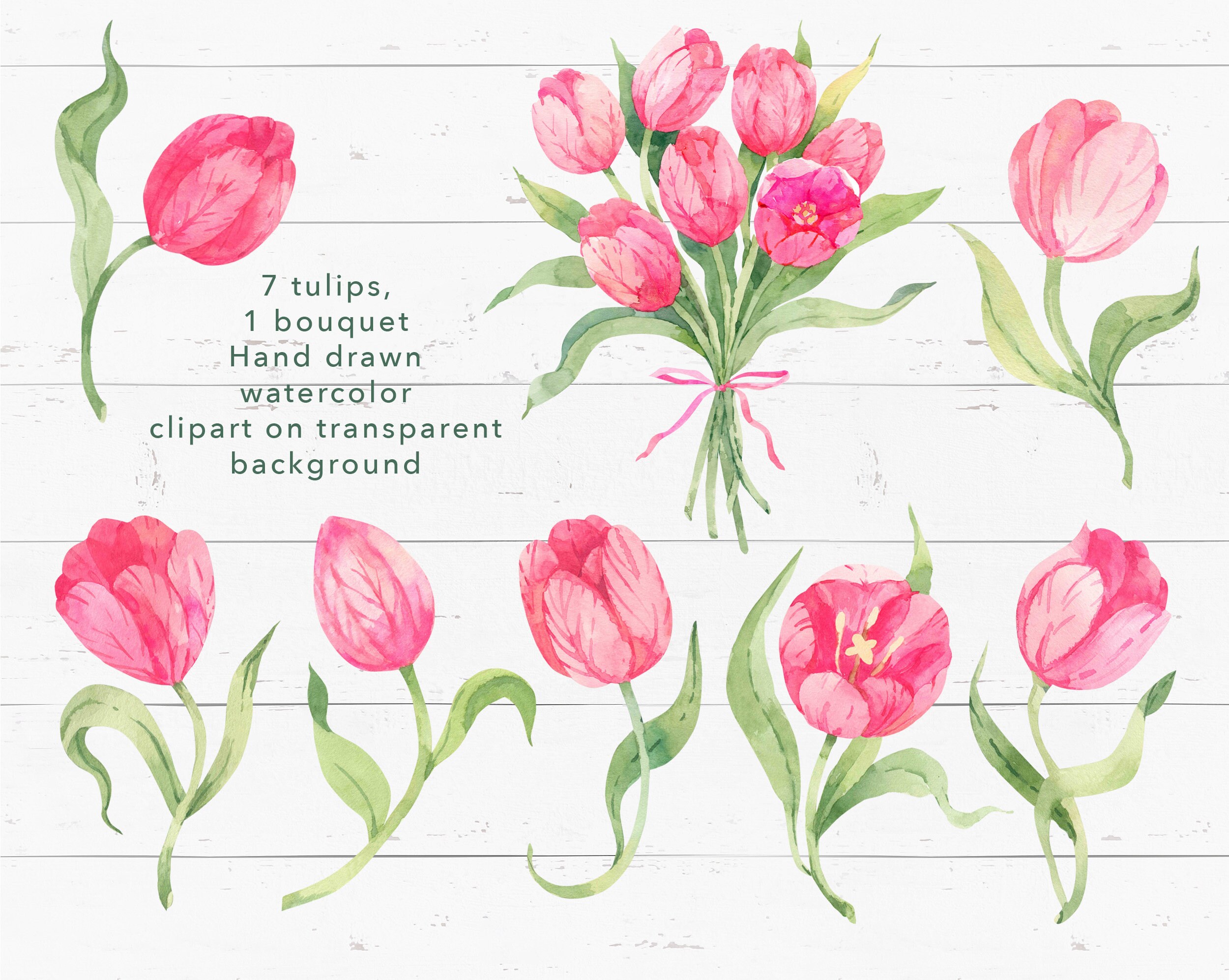 Watercolor Clipart Blush Pink TULIPS. Spring Flowers Set for Instant ...