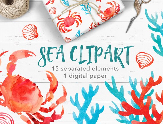 Ocean clip art PNG. Beach clipart and digital paper. Summer | Etsy