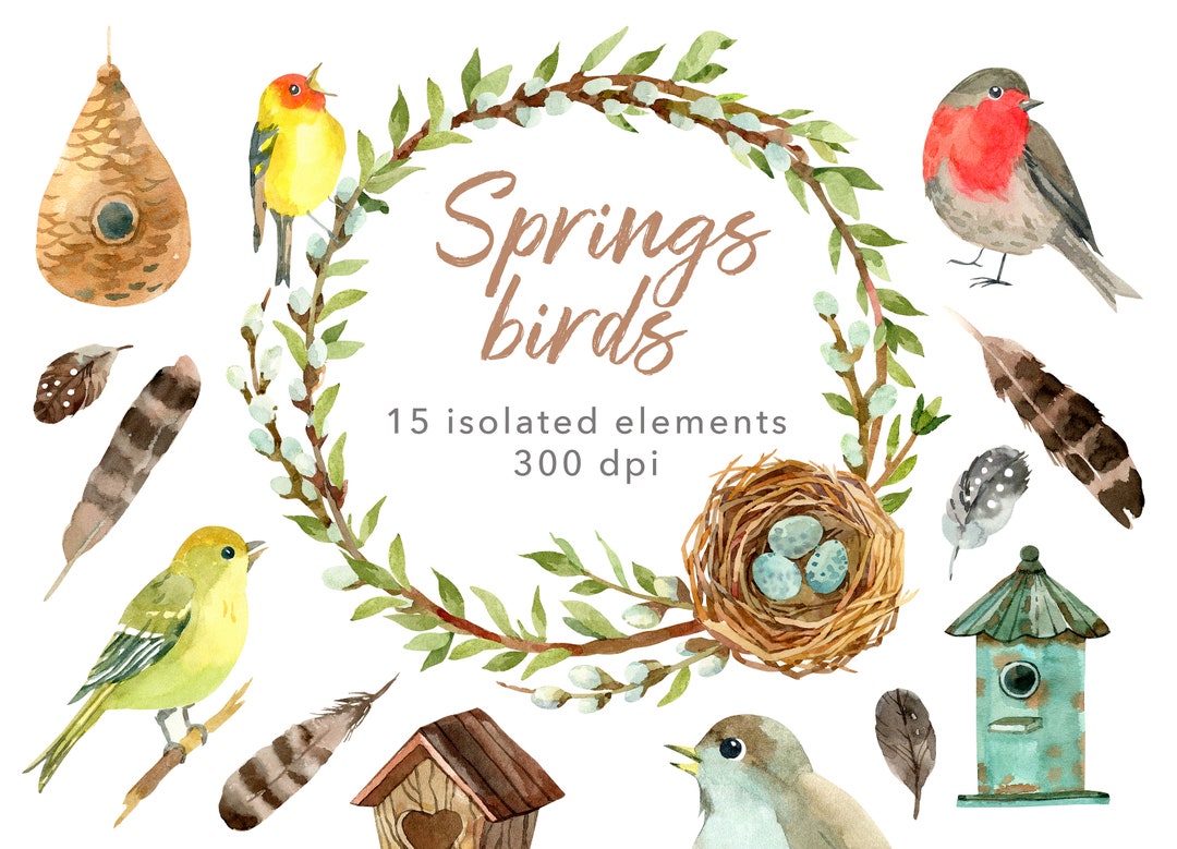Spring Easter Birds Clipart Collection: Robin, Western Tanager, Floral ...