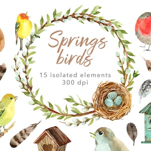 Spring Easter Birds Clipart Collection: Robin, Western Tanager, Floral ...