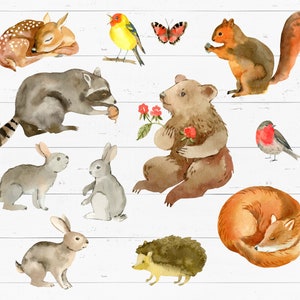 Woodland Animals Clipart PNG Deer, Fox, Bunnies, Bear, Raccoon ...