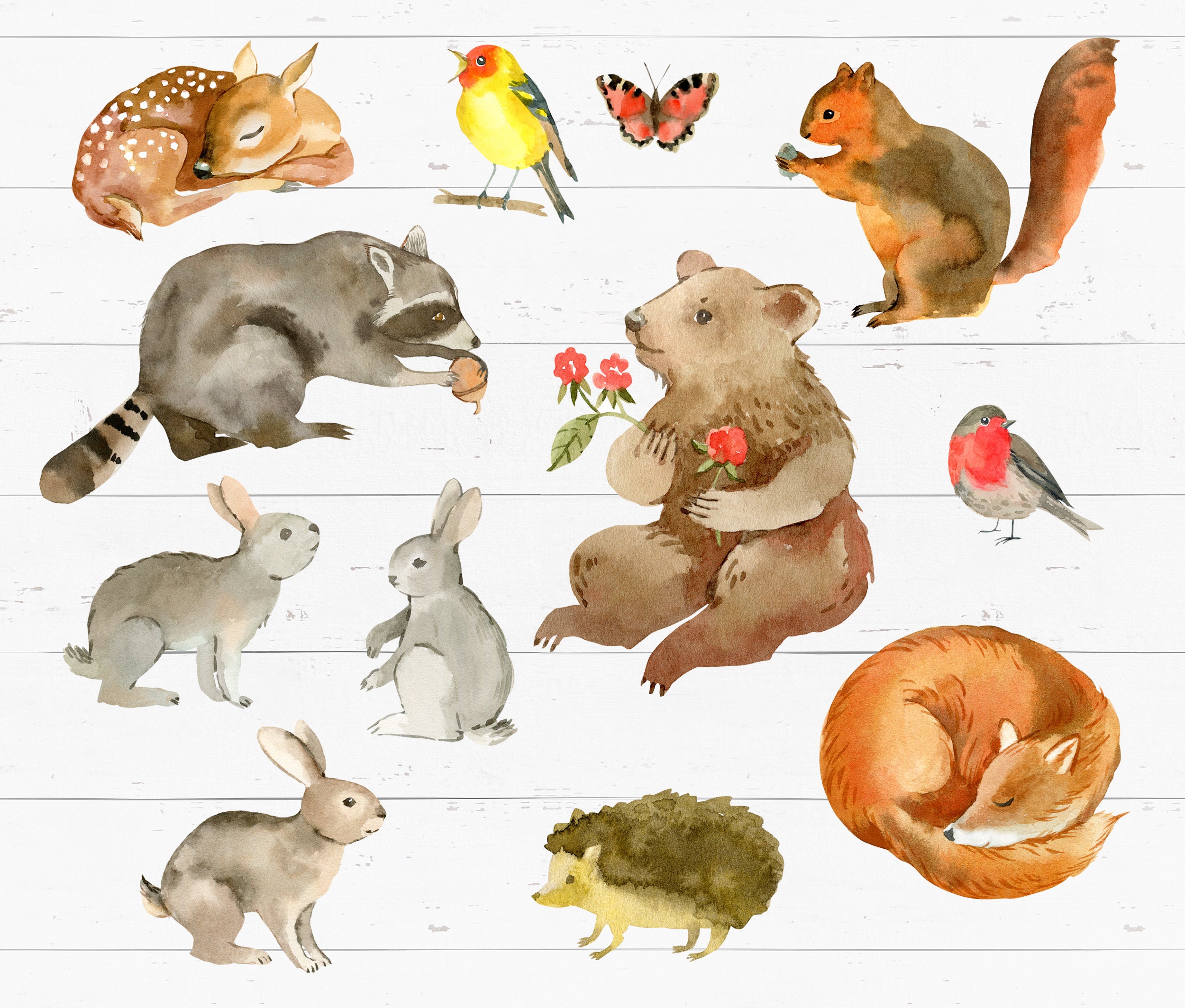 Woodland Animals Clipart PNG Deer, Fox, Bunnies, Bear, Raccoon ...