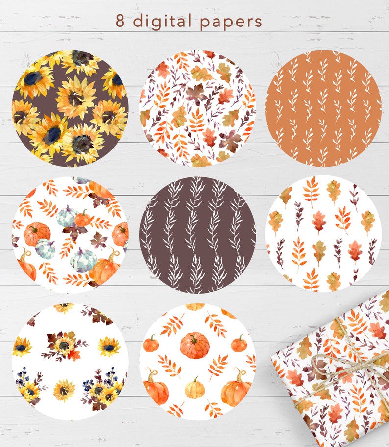 AUTUMN COLLECTION. Digital Pumpkins Clipart. Fall Leaves and Branches ...