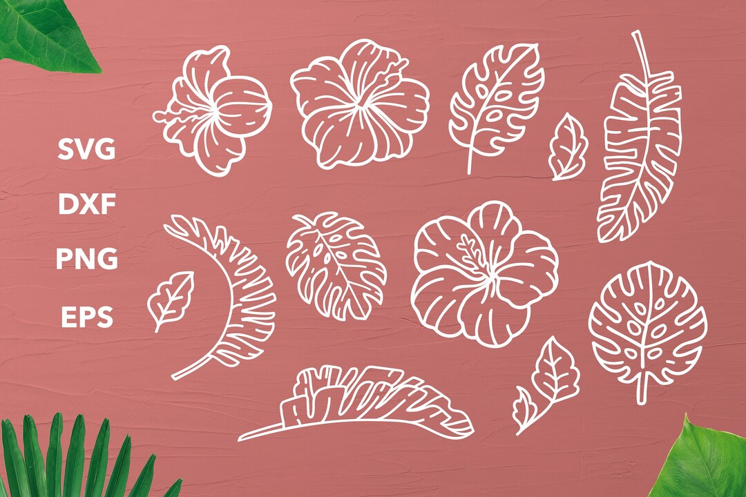 SVG Tropical Flowers and Leaves Hibiscus Clipart Monstera Leaf Banana ...