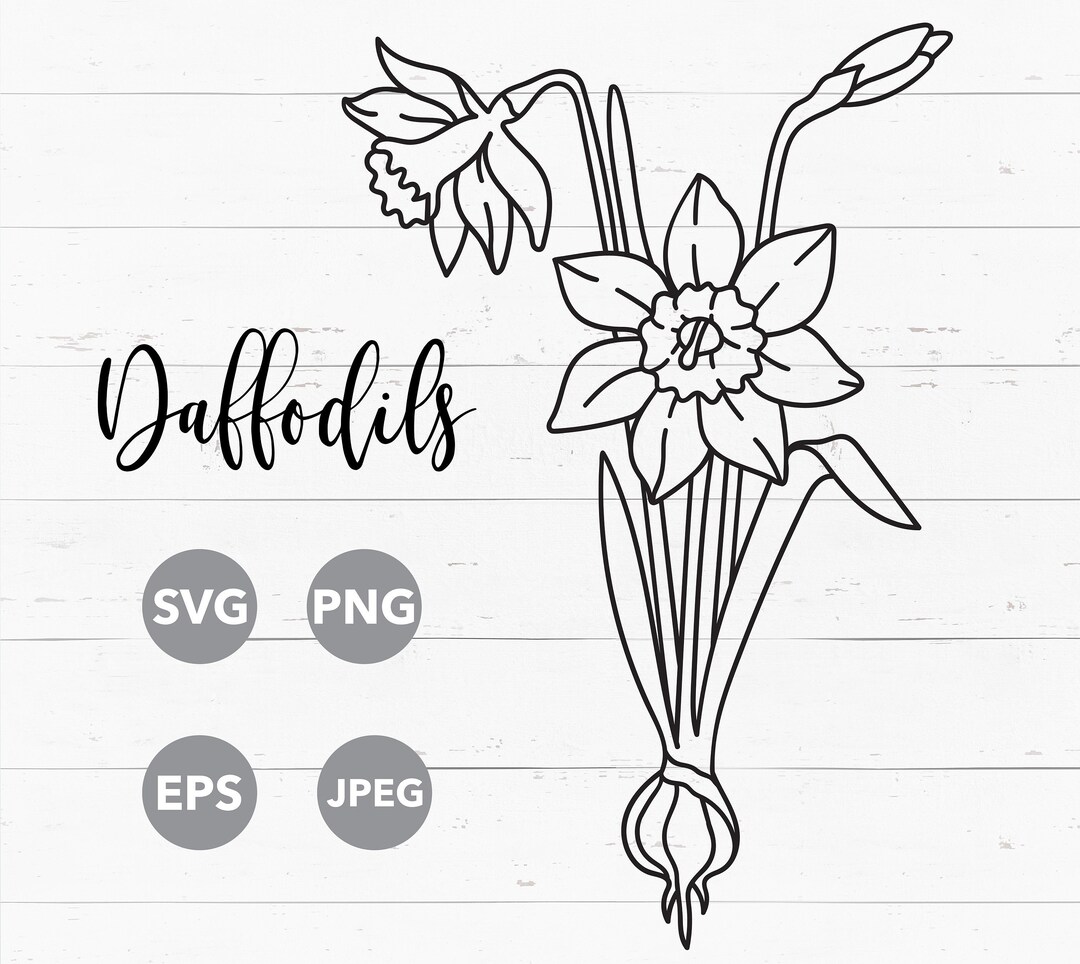 Daffodils SVG, PNG, JPEG, Eps, Vector Clipart for Cricut. Flower Line ...