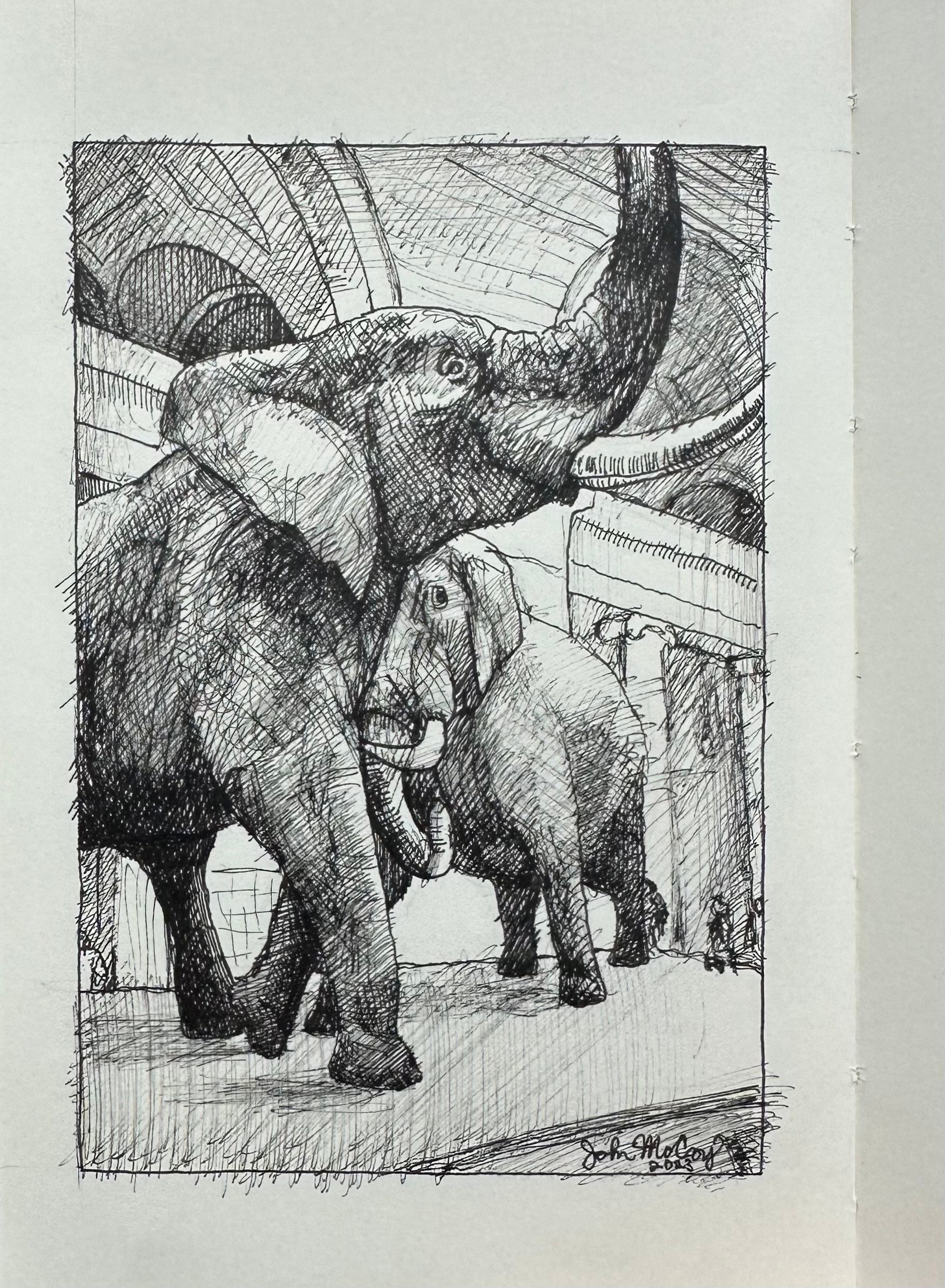 Framed Original Pen & Ink Drawing of Elephants - Etsy