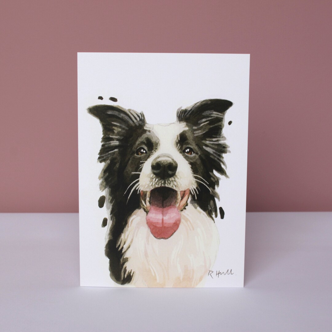 Border Collie All Occasion Card, Cute Sheepdog Birthday Greeting Cards ...