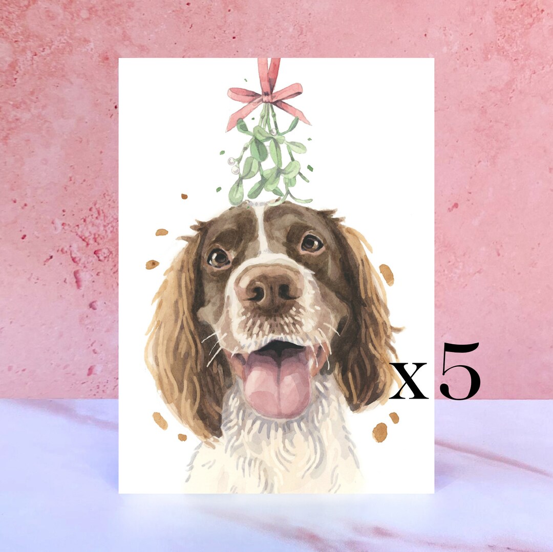 Pack of 5 Springer Spaniel Christmas Cards - Etsy