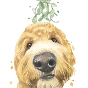 Golden Doodle Christmas Cards, Cute Labradoodle Doodle Goldendoodle Dog ...