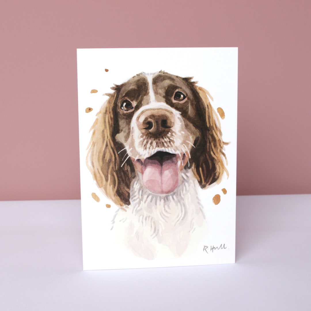 Spaniel All Occasion Card, Funny Dog Birthday Greeting Cards - Etsy UK